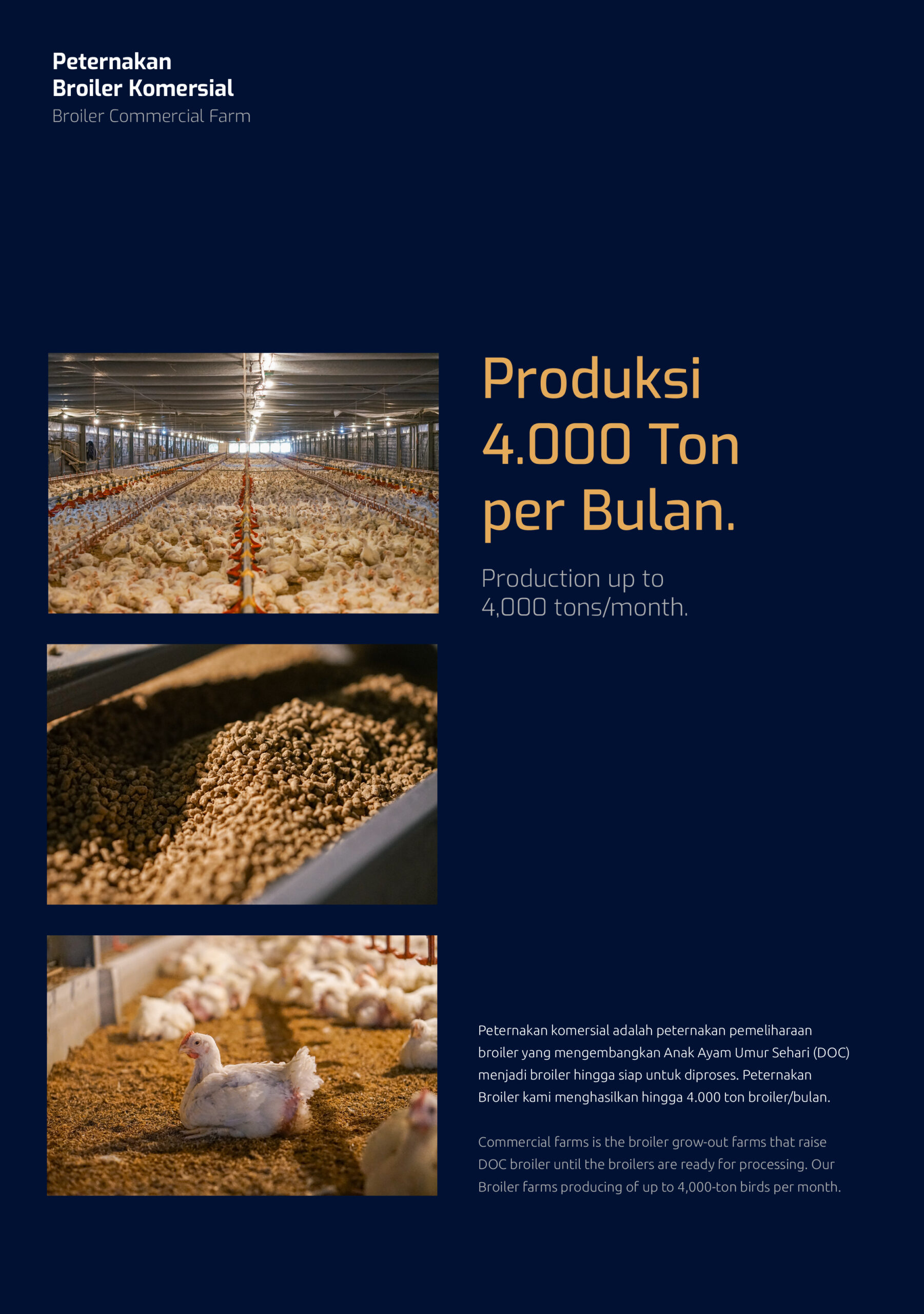 1.2 Business Broiler Commercial Farm – MBU